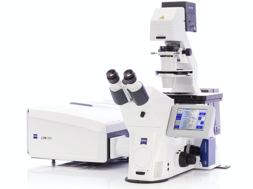 Zeiss LSM 880 Confocal Laser Scanning Microscope | Biomed Core ... Zeiss LSM 880 Confocal Laser Scanning Microscope | Biomed Core ...